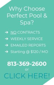 Pool Cleaning Service - Perfect-Pool & Spa - South Tampa